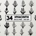 Hyacinth SVG Bundle: Spring Flower Clipart (PNG, Vector) - Etsy