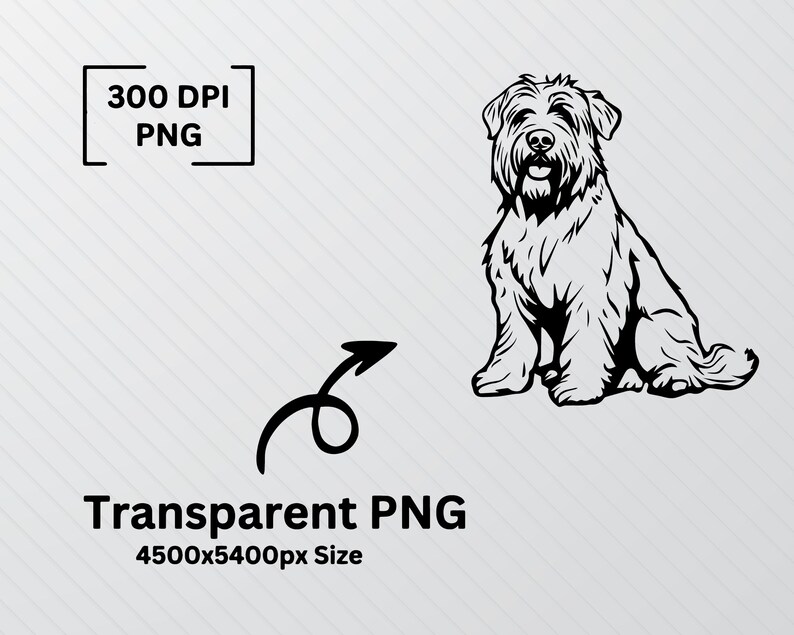 Bouvier Des Flandres Dog Silhouette: Vector Clipart Bundle (SVG, PNG ...