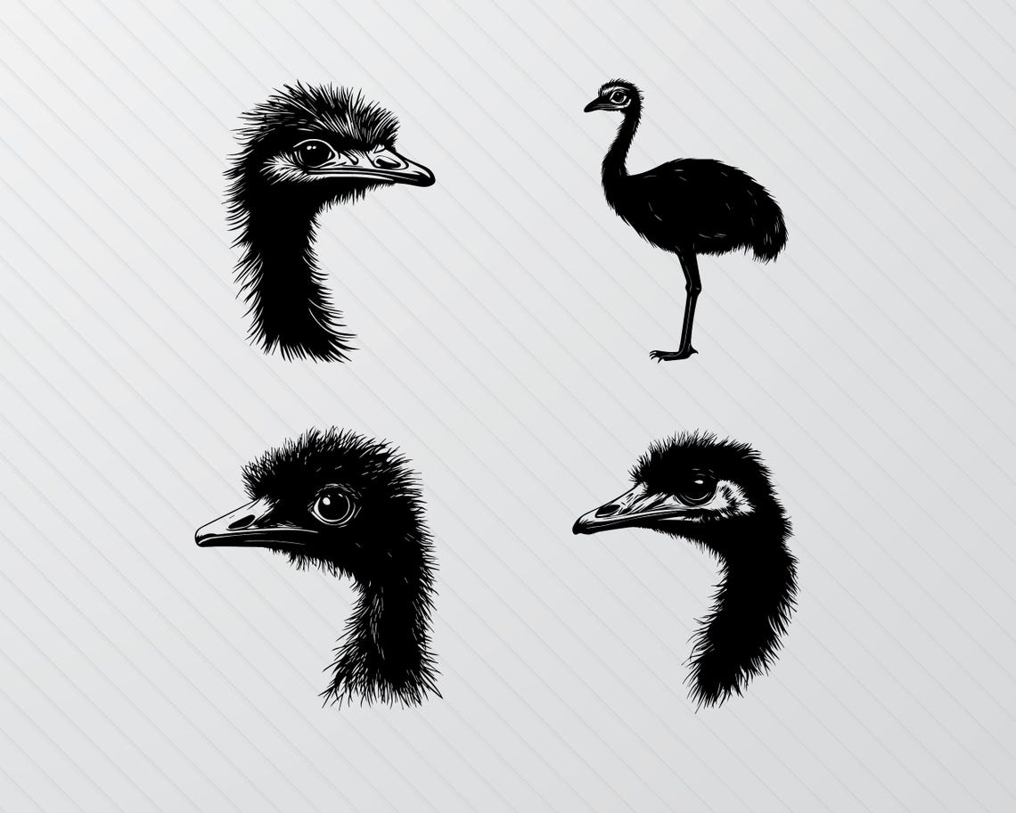 Emu Svg Cut Files, Australian Emu Silhouette Png, Emu Vector Art, Emu ...