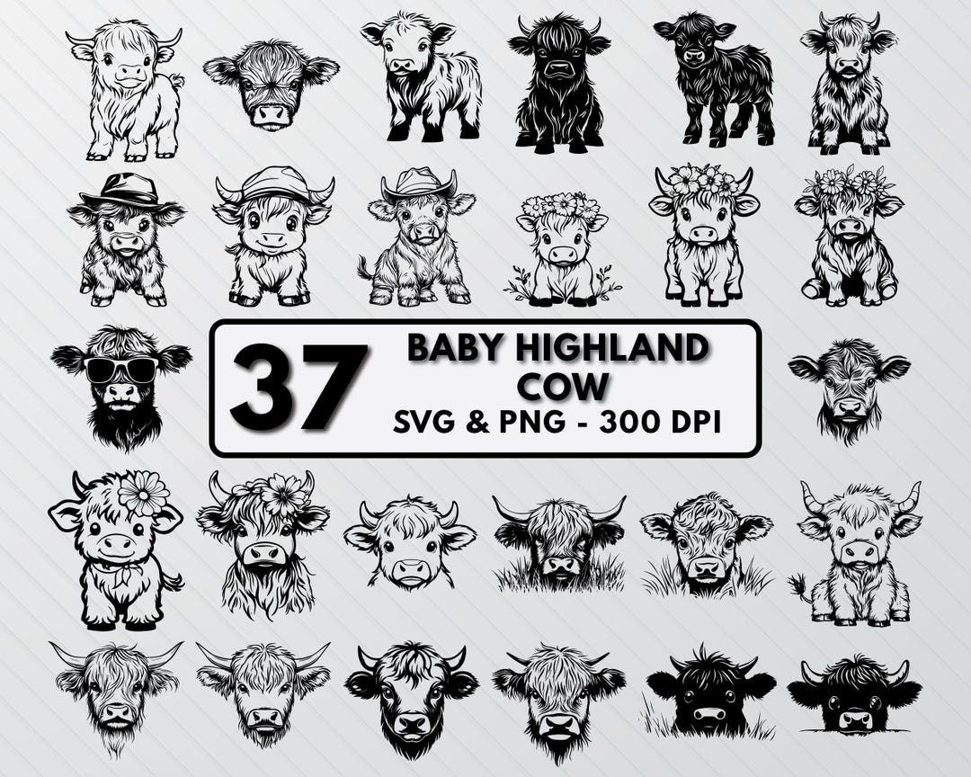 Baby Highland Cow Svg, Highland Cows Silhouette, Cute Baby Cow Decal ...