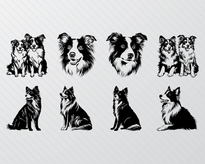 Collie Dog SVG Bundle: Silhouette Clipart, Vector Cut Files (PNG, SVG ...
