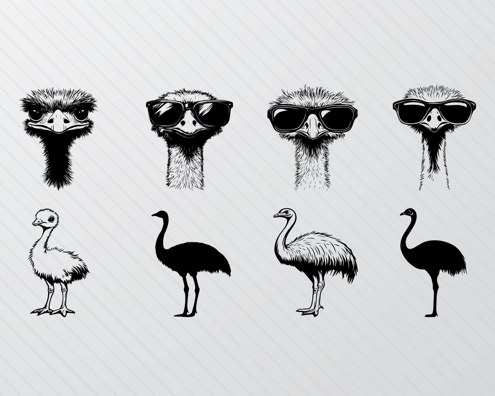 Ostrich Svg Cut Files, Running Ostrich Silhouette Png, Ostrich Vector ...