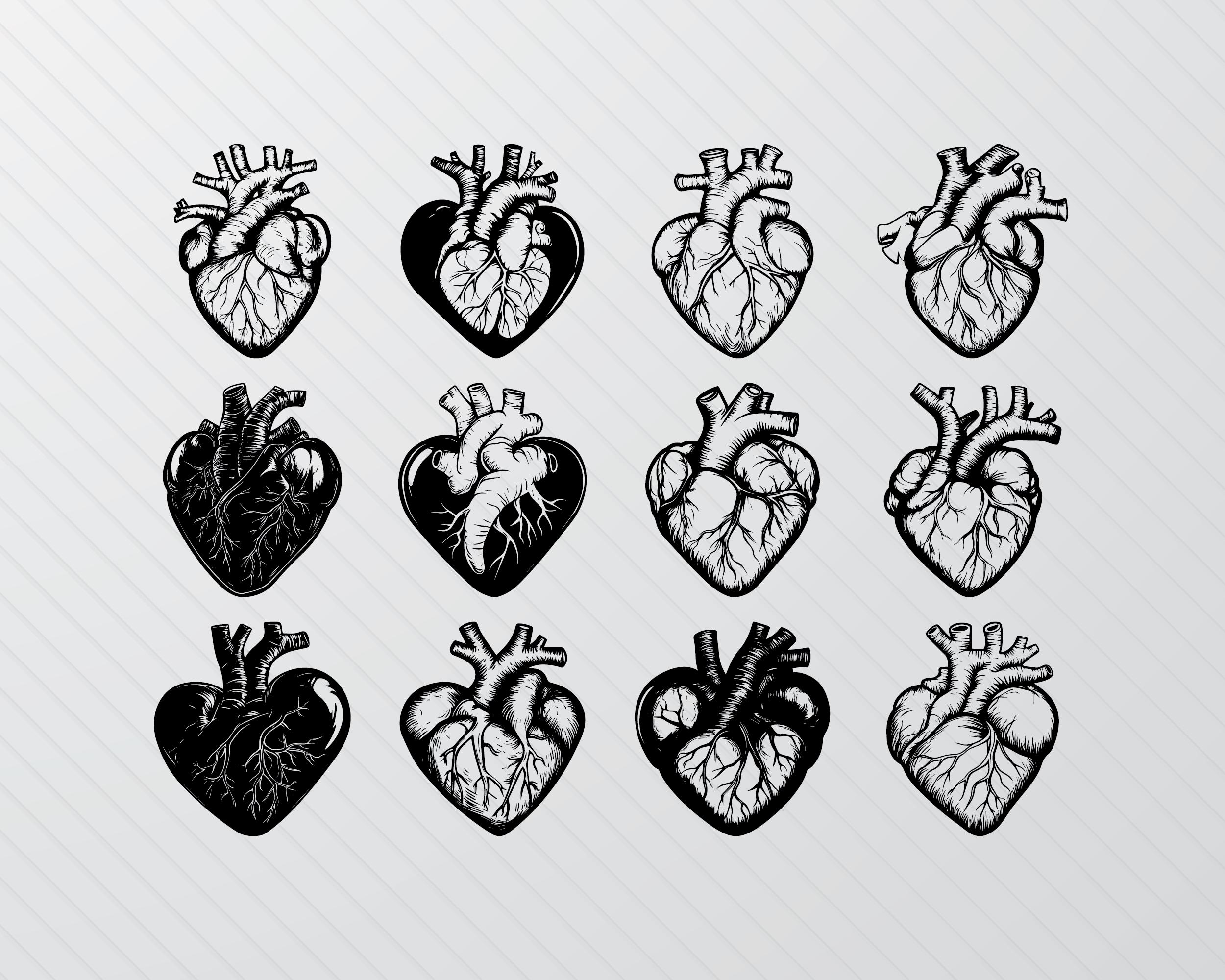 Human Heart Silhouette, Human Hearts Svg Bundle Cut File, Human Heart ...