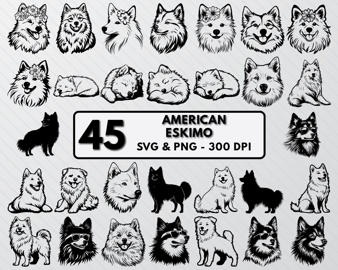 American Eskimo SVG Bundle: Dog Silhouette Clipart (PNG) - Etsy