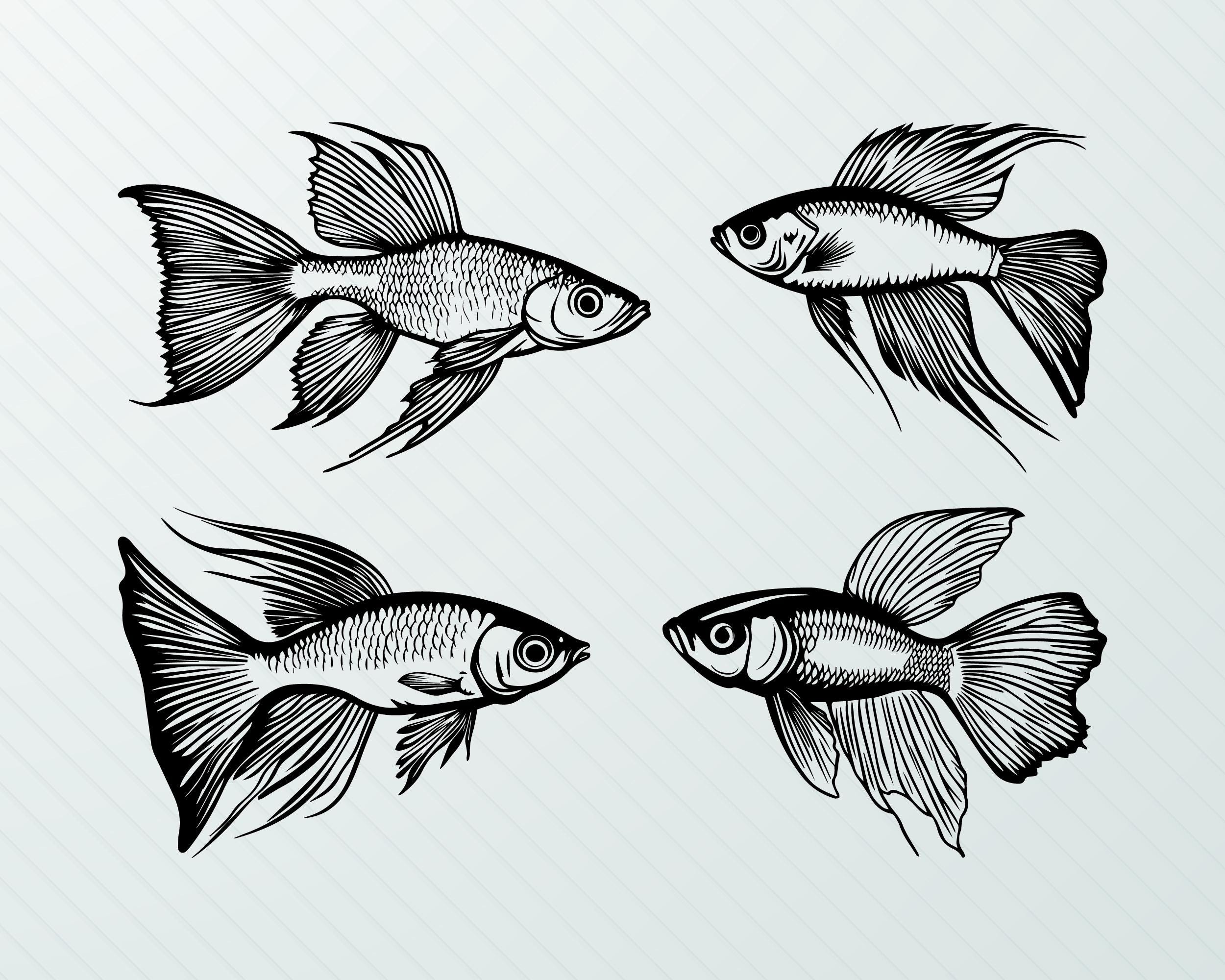 Guppy Fish Svg Png Bundle, Guppy Fish Silhouette, Guppy Fish Clipart ...