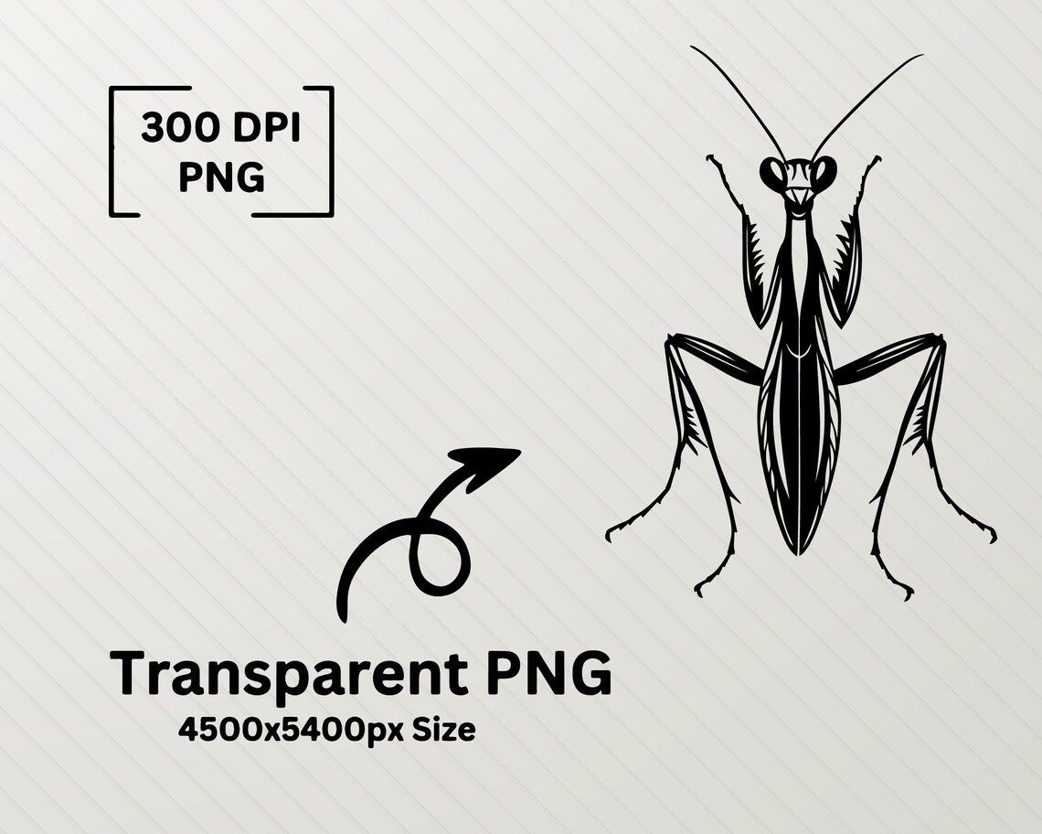 Praying Mantis Svg Bundle, Praying Mantis Silhouette, Mantis Svg Vector ...