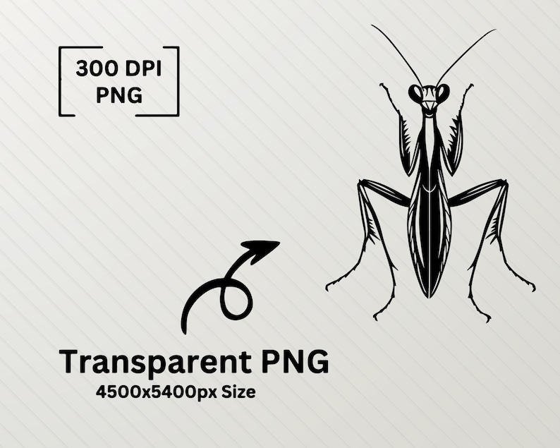 Praying Mantis Svg Bundle, Praying Mantis Silhouette, Mantis Svg Vector ...