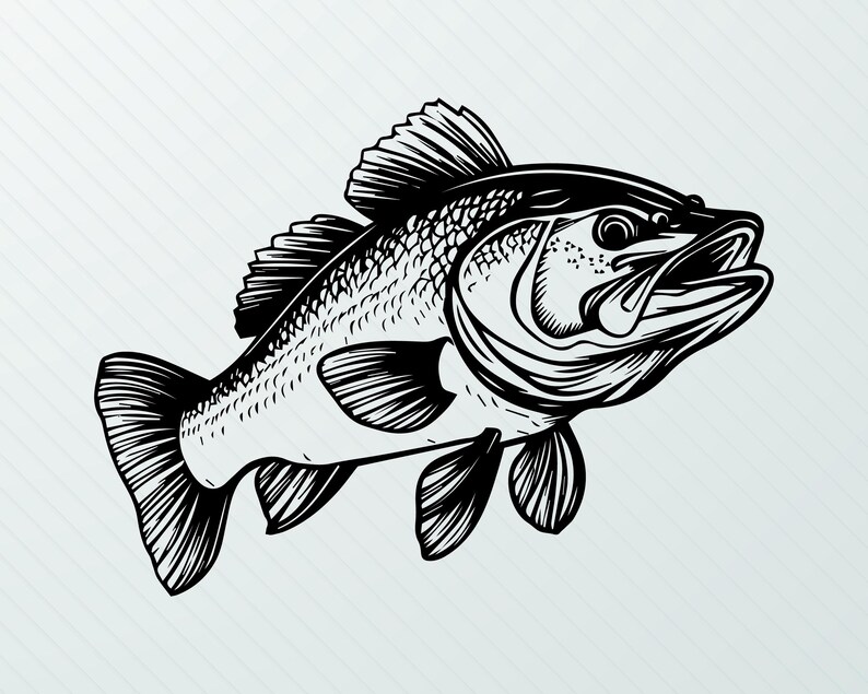 Largemouth Fish Clipart Bundle: Vector Cut Files (SVG, PNG) - Etsy