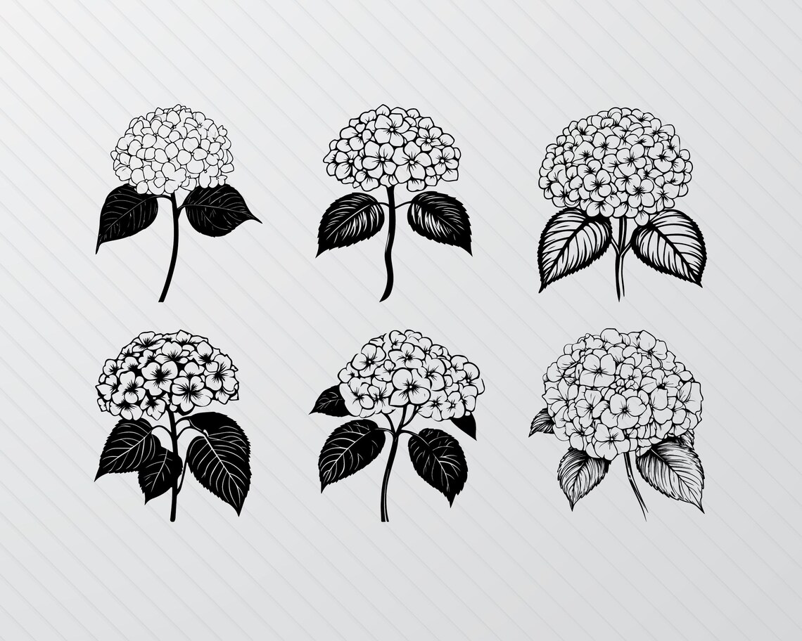 Hydrangea Flower SVG Bundle: Silhouette Clipart (PNG, Vector) - Etsy