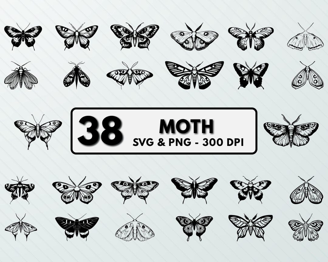 Moth SVG PNG Bundle: Clipart Silhouette Vector (300 DPI) - Etsy