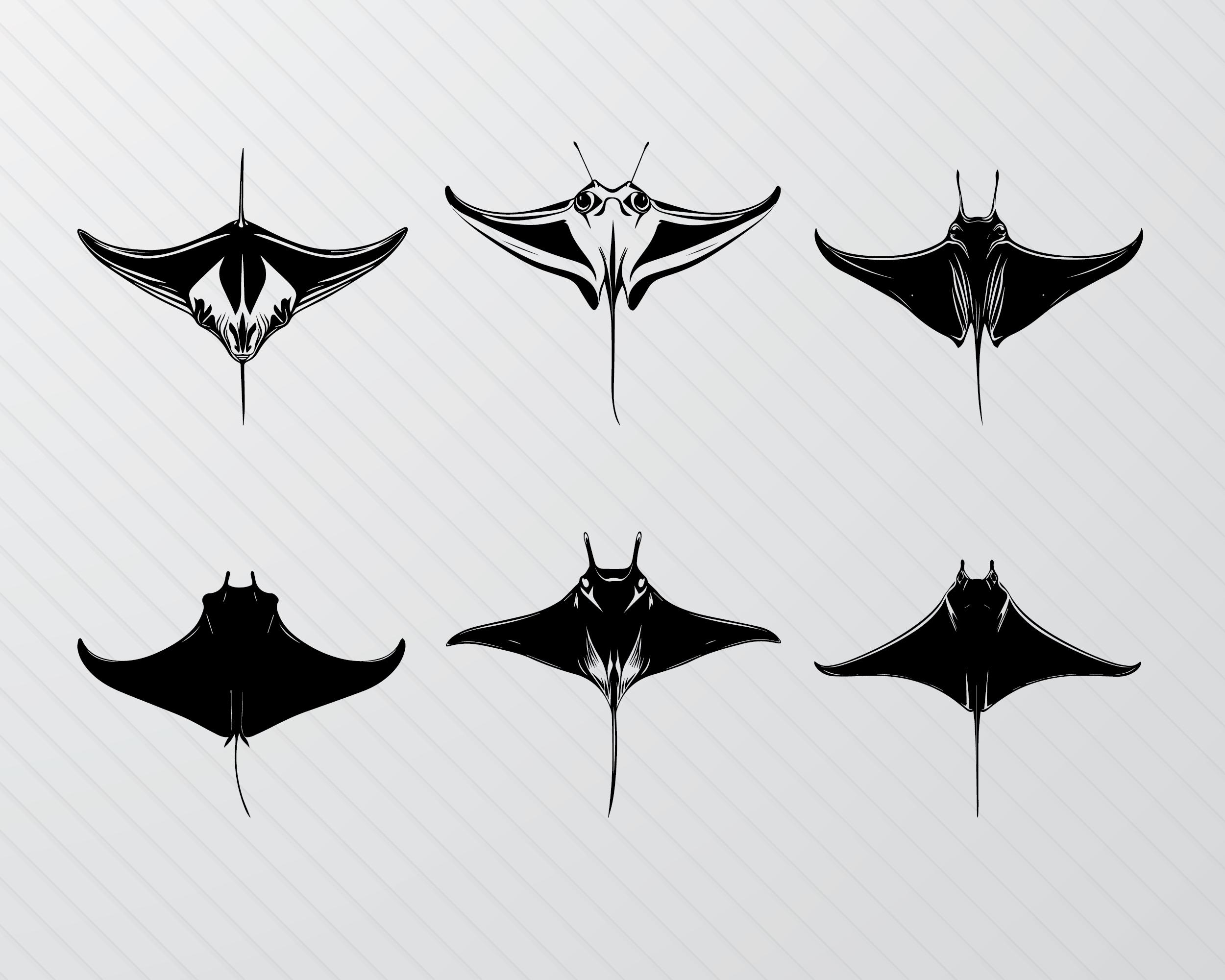 Manta Ray Svg Bundle, Manta Ray Silhouette Png, Manta Ray Vector, Manta ...