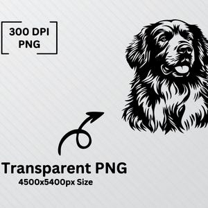 Newfoundland Dog SVG Bundle: Silhouette Vector Art (PNG, Cricut) - Etsy