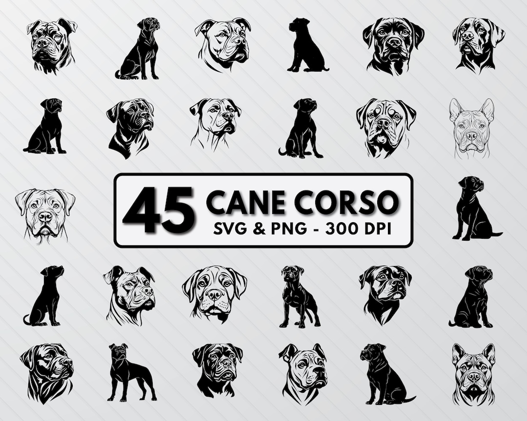 Cane Corso Dog Silhouette, Cane Corso Dogs Svg Bundle, Dogs Clipart ...