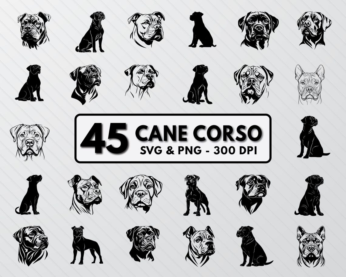 Cane Corso Dog Silhouette, Cane Corso Dogs Svg Bundle, Dogs Clipart ...