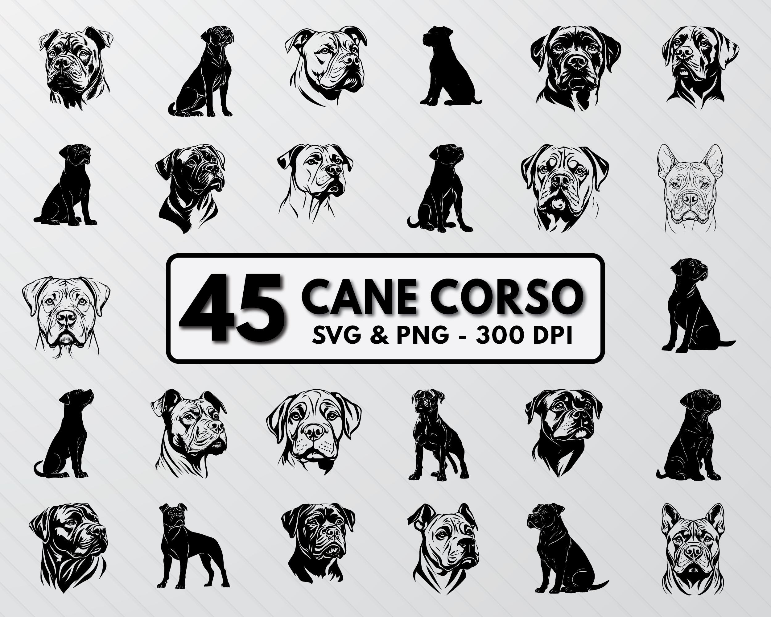 Cane Corso Dog Silhouette, Cane Corso Dogs Svg Bundle, Dogs Clipart ...