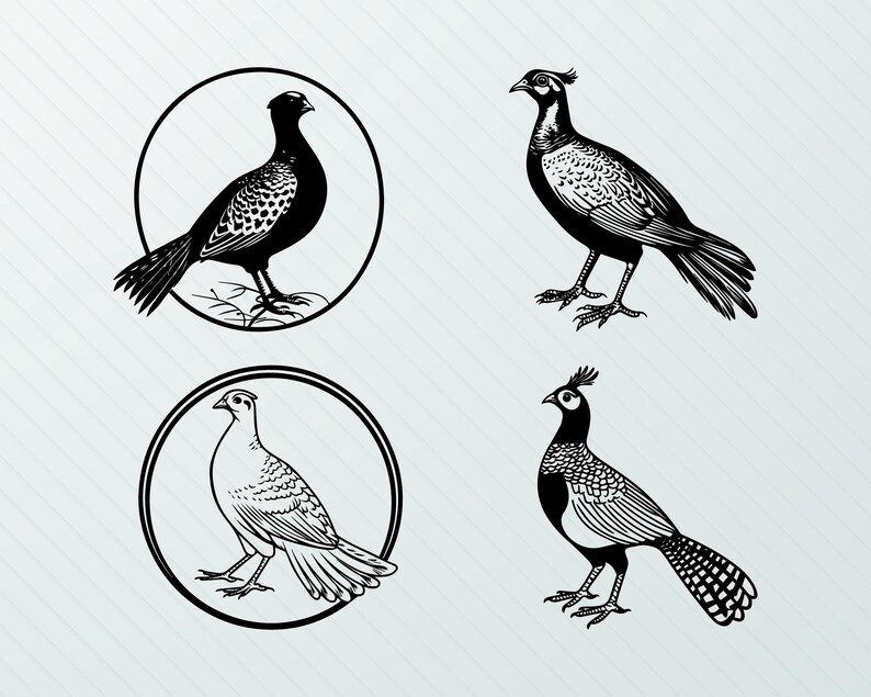 Pheasant SVG PNG Clipart: 58 Vector Cut Files (300 DPI) - Etsy