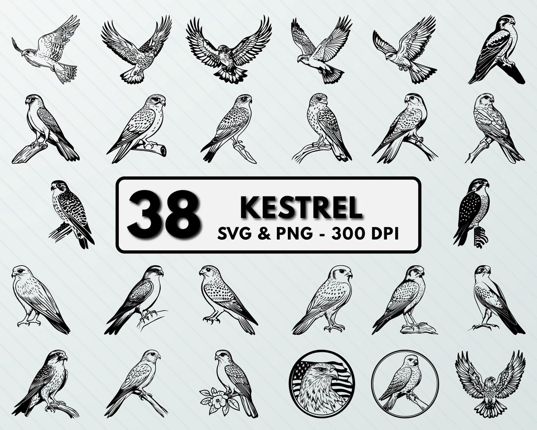 Kestrel Svg Png Bundle, Kestrel Clipart, Kestrel Silhouette, Kestrel ...