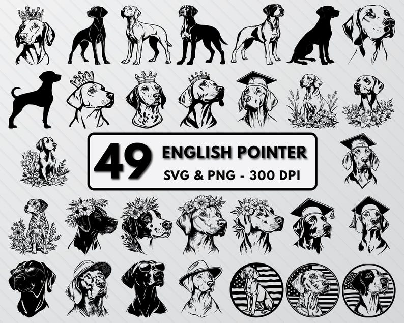 English Pointer Silhouette, Pointer Dogs Svg Bundle, Pointer Puppies ...