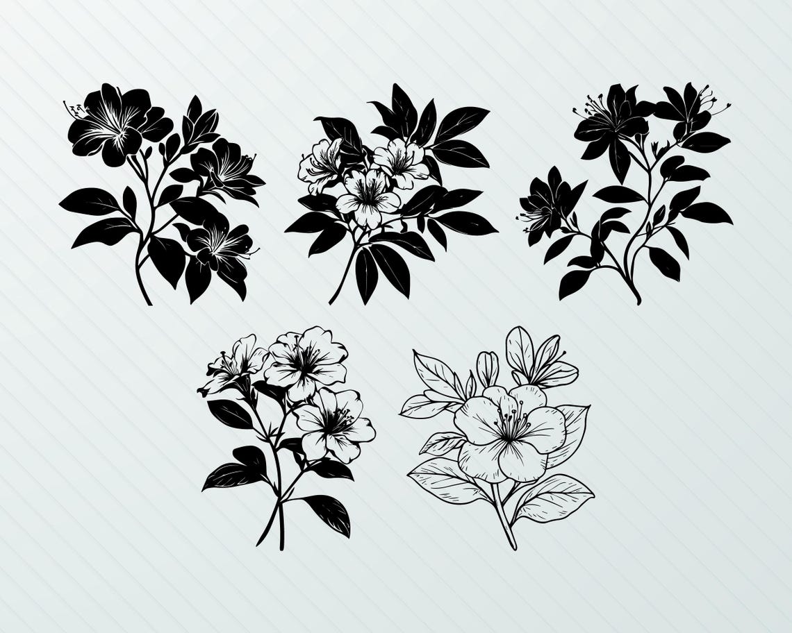 Azalea SVG PNG Bundle: Flower Outline Cut Files - Etsy