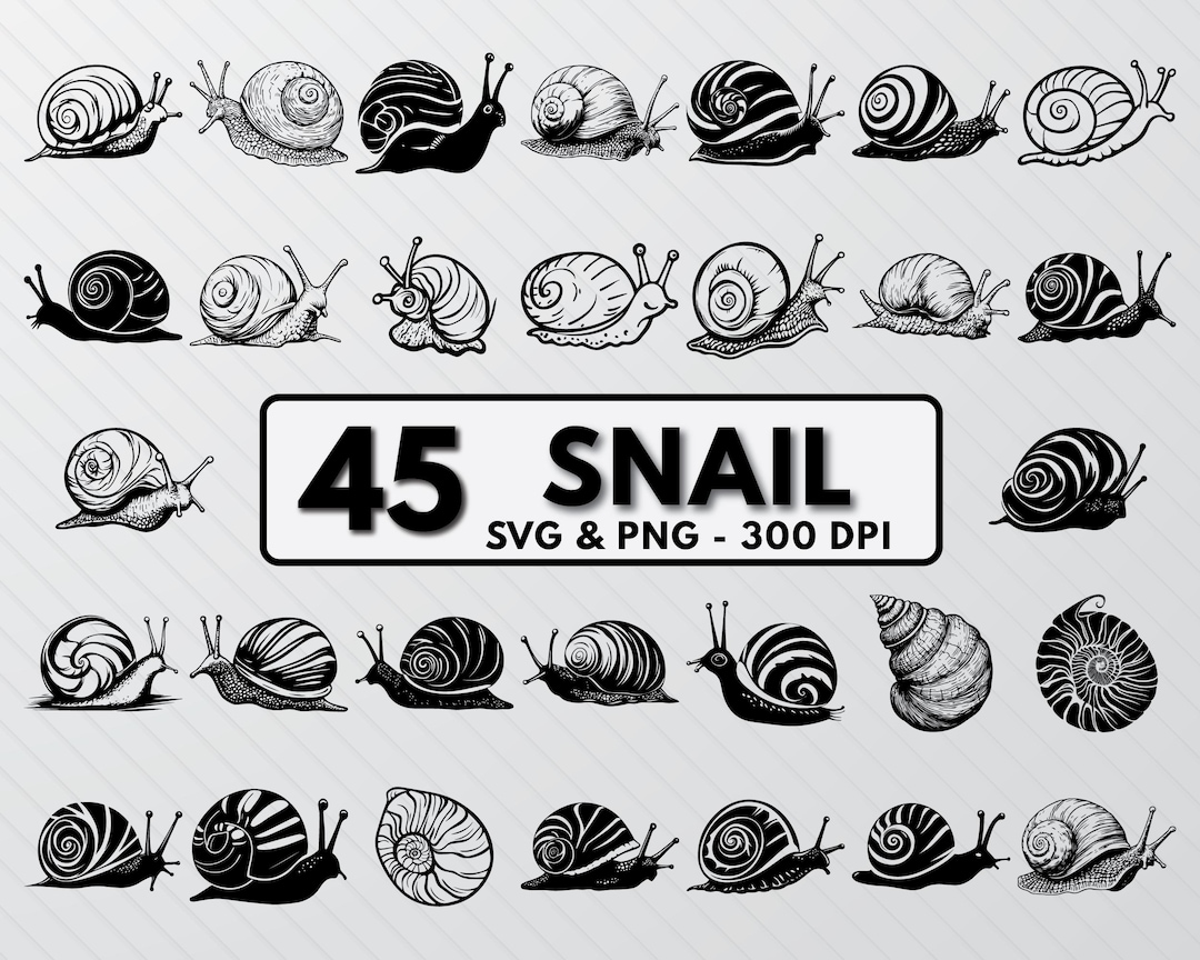 Snail Silhouette Svg, Snail Svg Bundle Cut Files, Snail Clipart Png ...
