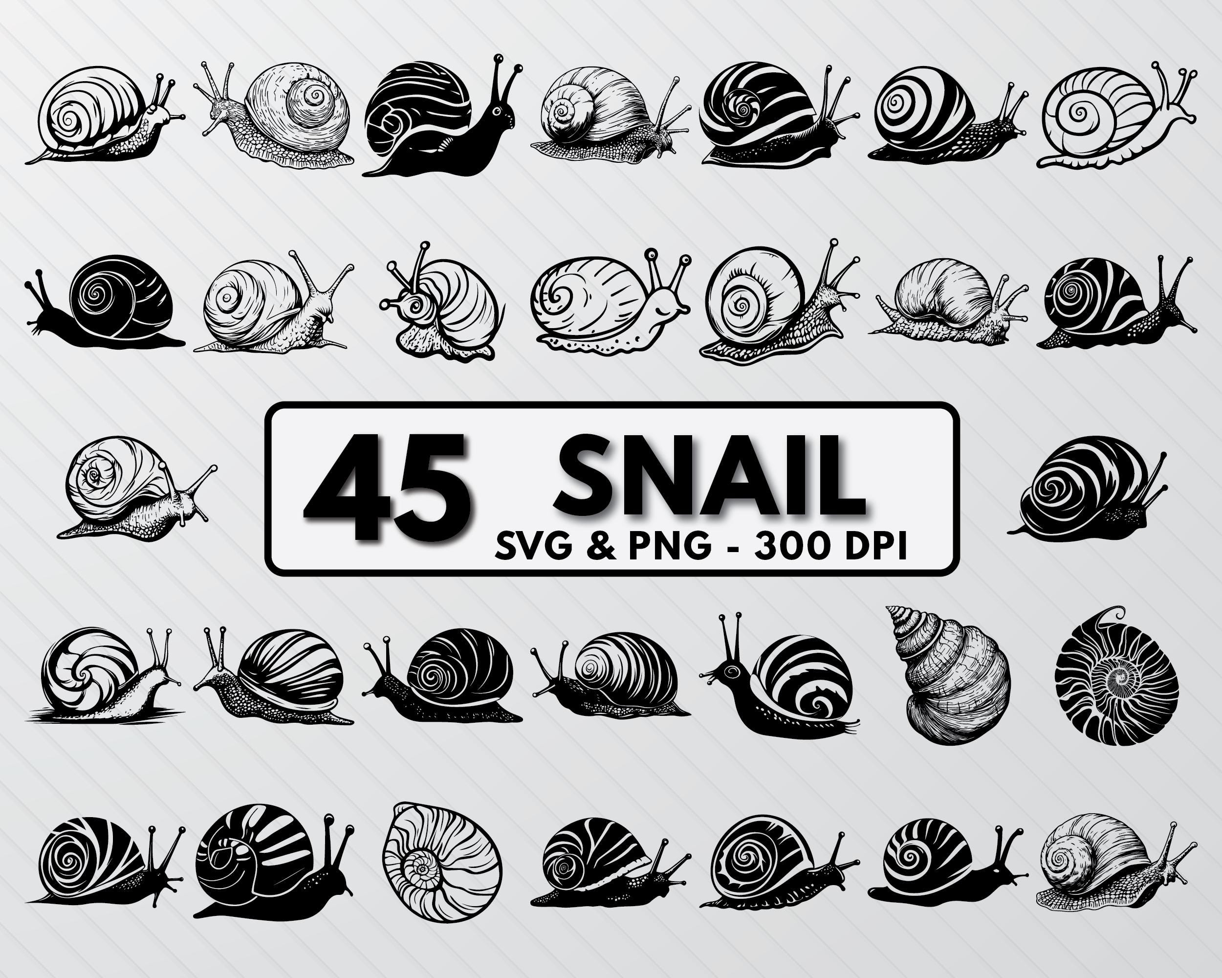 Snail Silhouette Svg, Snail Svg Bundle Cut Files, Snail Clipart Png ...
