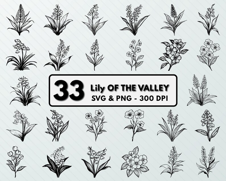 Lily of the Valley SVG, Floral Silhouette Vector, Flower Clipart (PNG ...