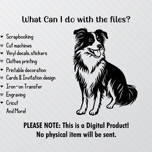 Collie Svg Bundle, Collie Dog Silhouette, Collie Puppies Png Clipart ...