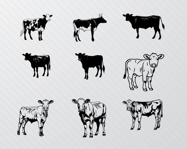 Cow Svg Bundle, Cows Silhouette, Cute Cow Clipart Png, Highland Cow ...
