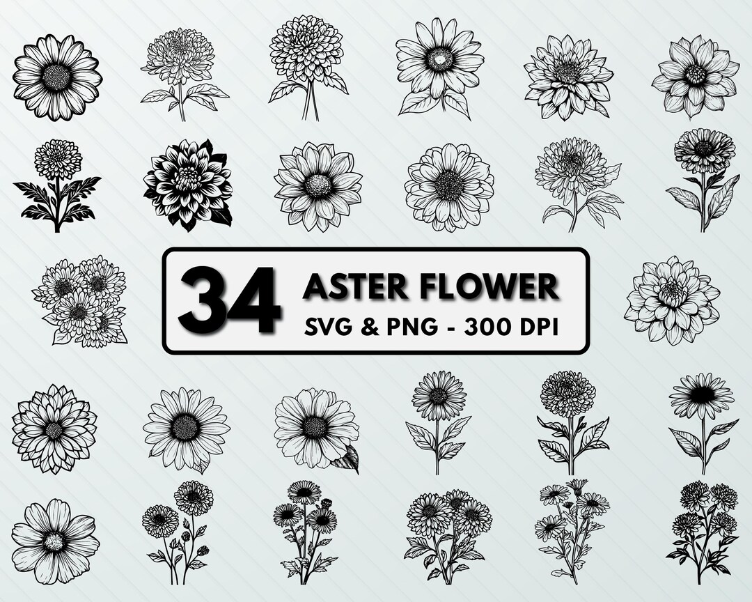 Aster Flower Png, Aster Clipart, Aster Silhouette, September Birth ...