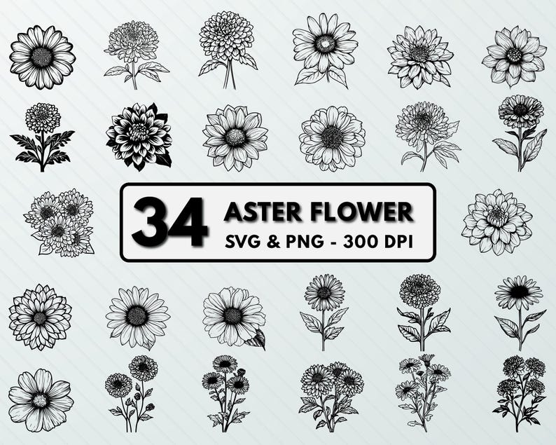 Aster Flower SVG: September Birth Flower Clipart (PNG, Vector) - Etsy
