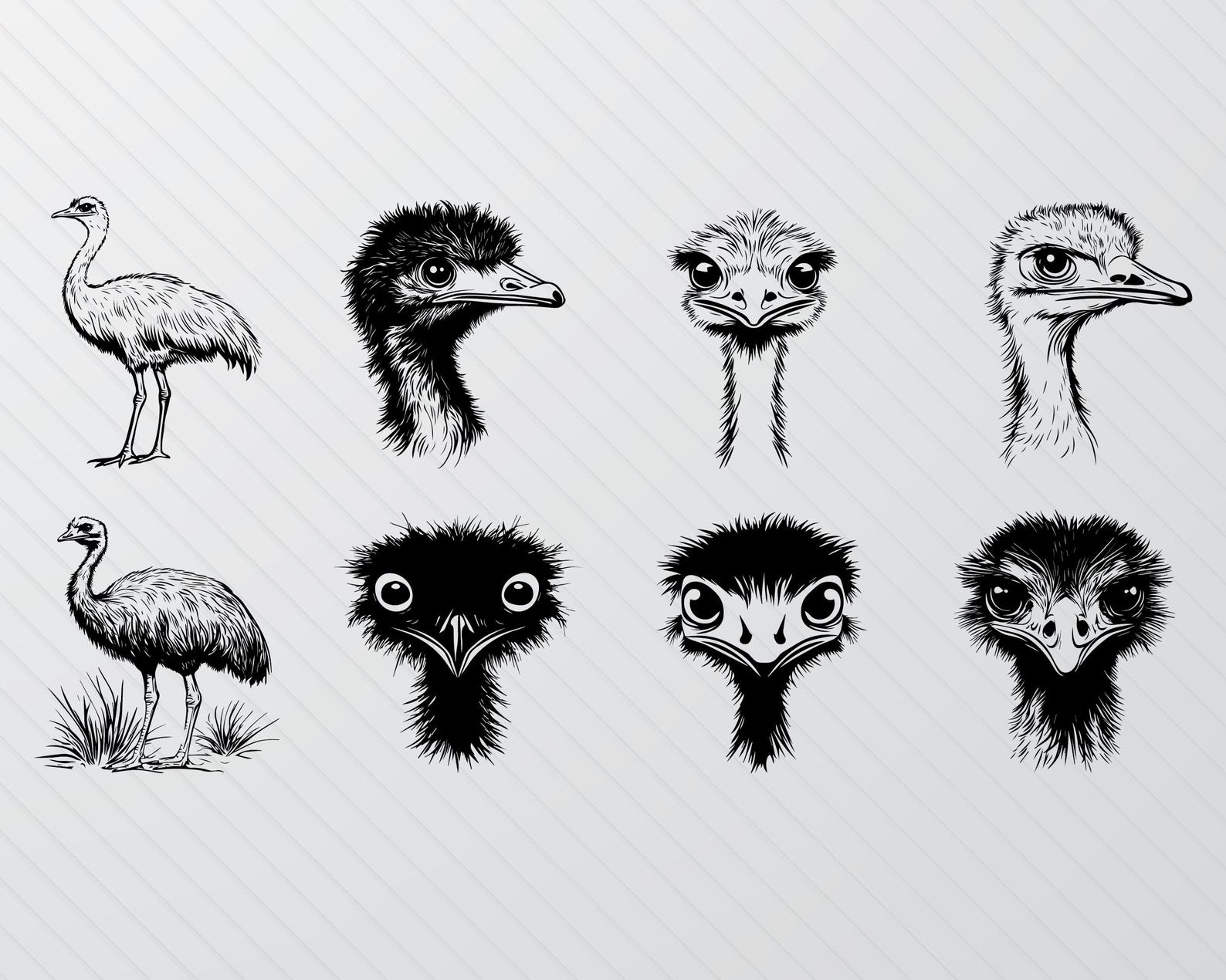 Emu Svg Cut Files, Australian Emu Silhouette Png, Emu Vector Art, Emu ...