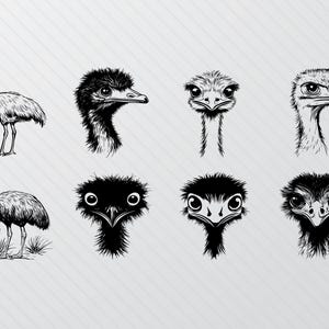 Emu SVG Cut Files: Australian Emu Silhouette PNG, Vector Art (digital ...