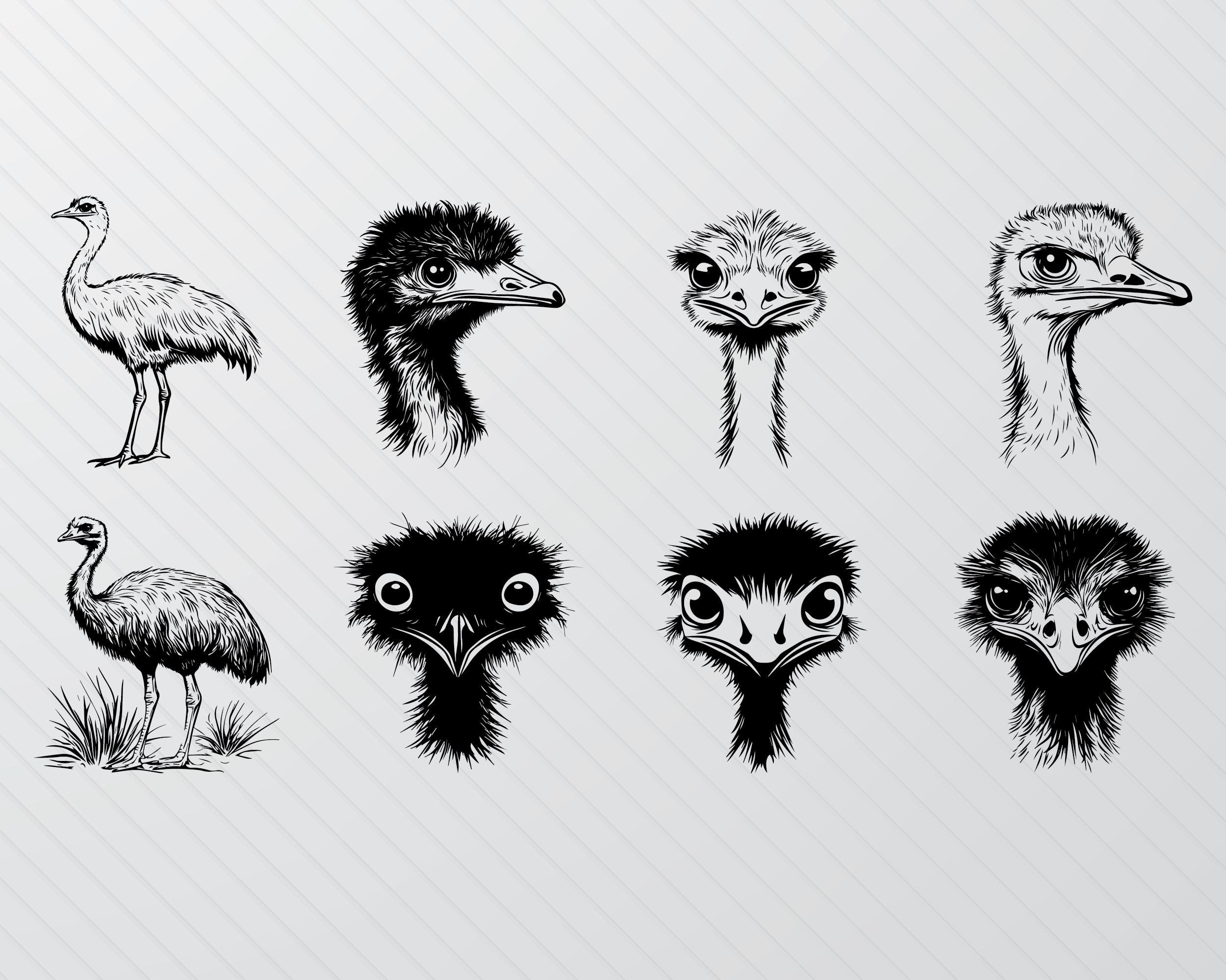 Emu Svg Cut Files, Australian Emu Silhouette Png, Emu Vector Art, Emu ...