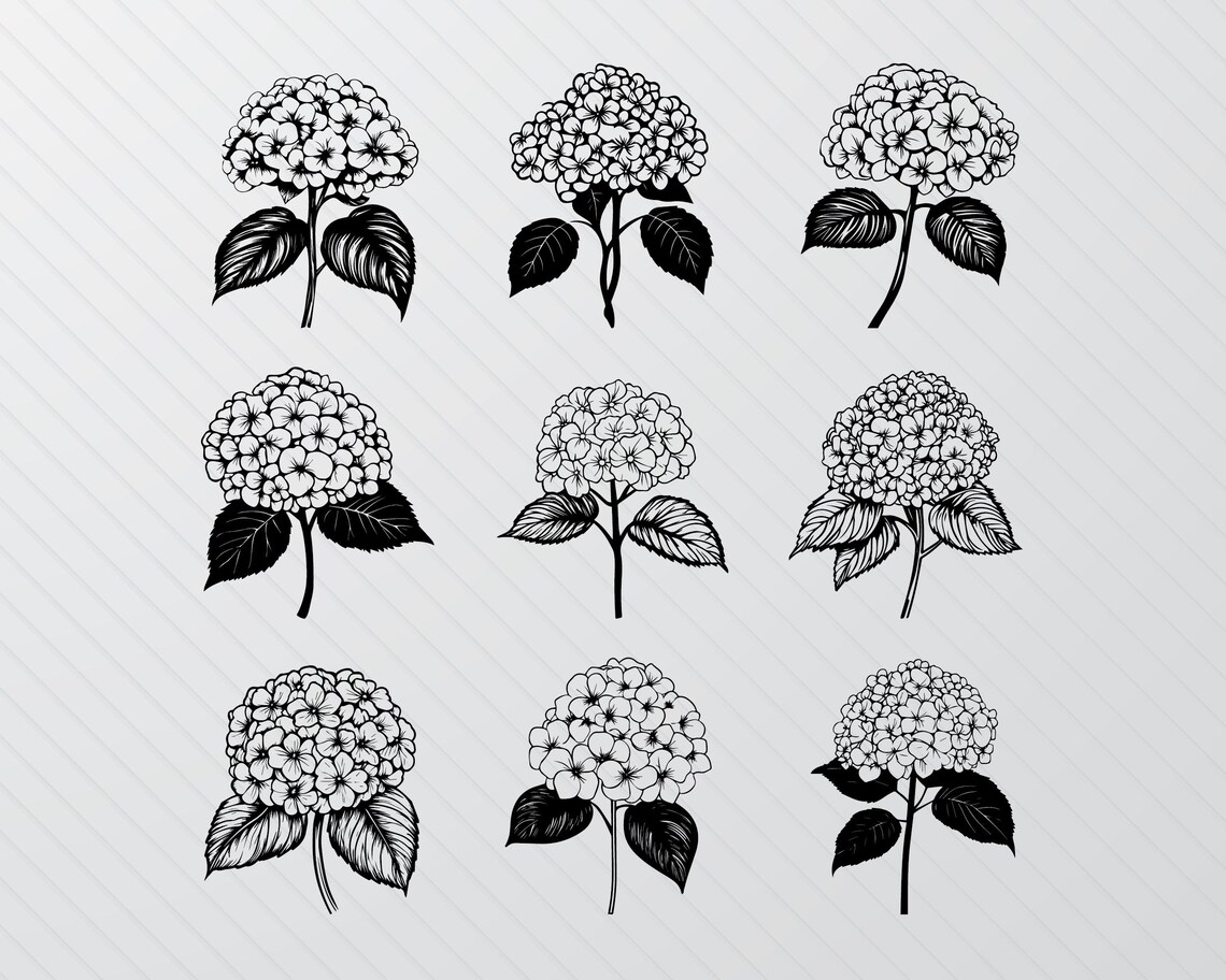 Hydrangea Flower SVG Bundle: Silhouette Clipart (PNG, Vector) - Etsy