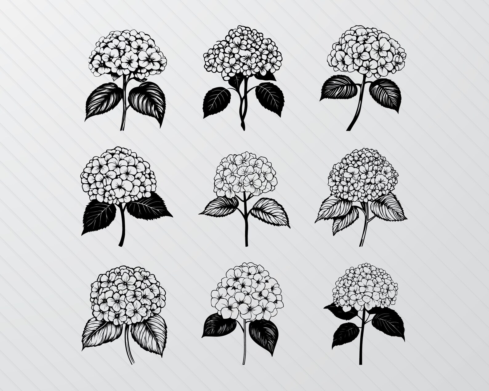 Hydrangea Flower SVG Bundle: Silhouette Clipart (PNG, Vector) - Etsy