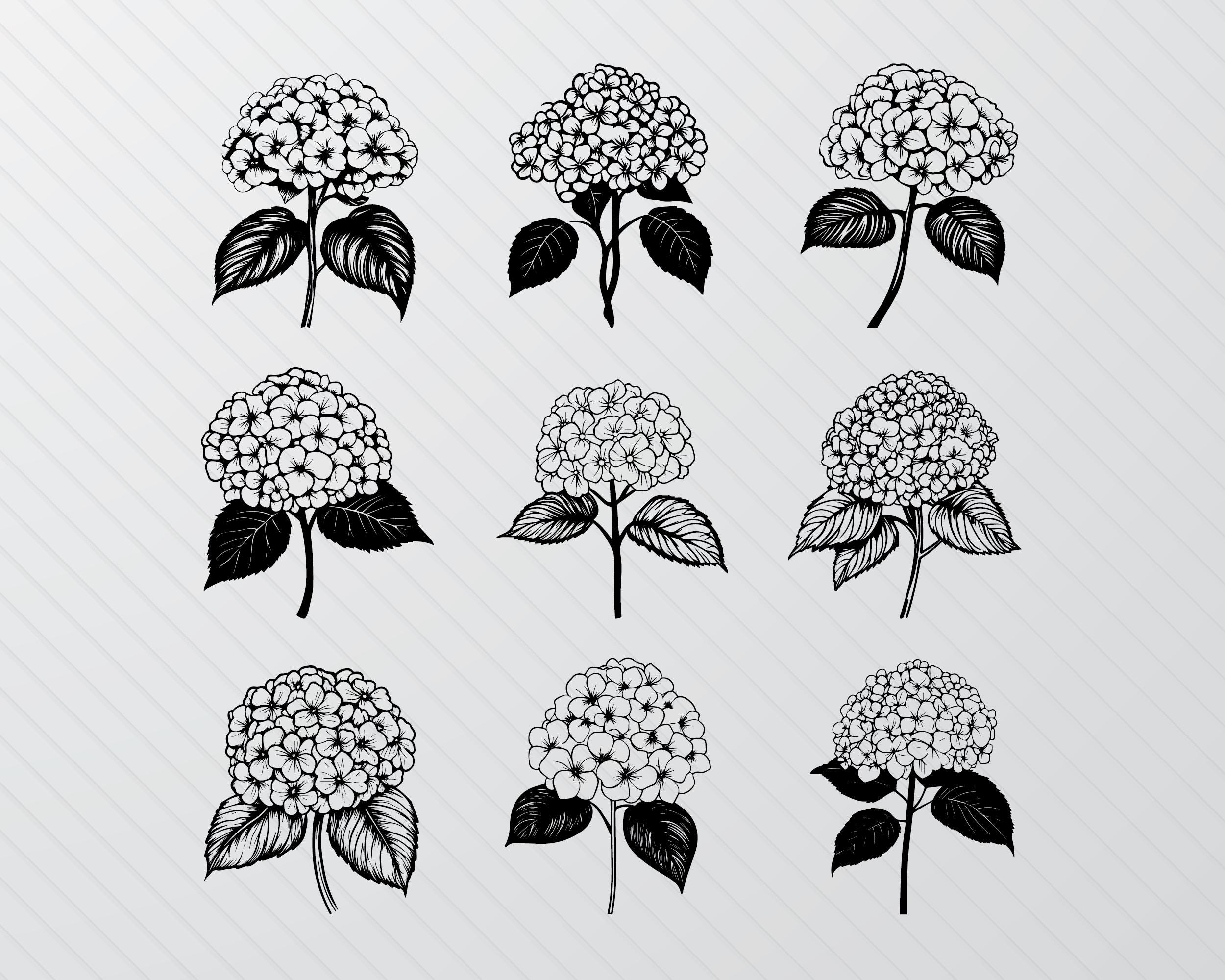 Hydrangea Flower SVG Bundle: Silhouette Clipart (PNG, Vector) - Etsy