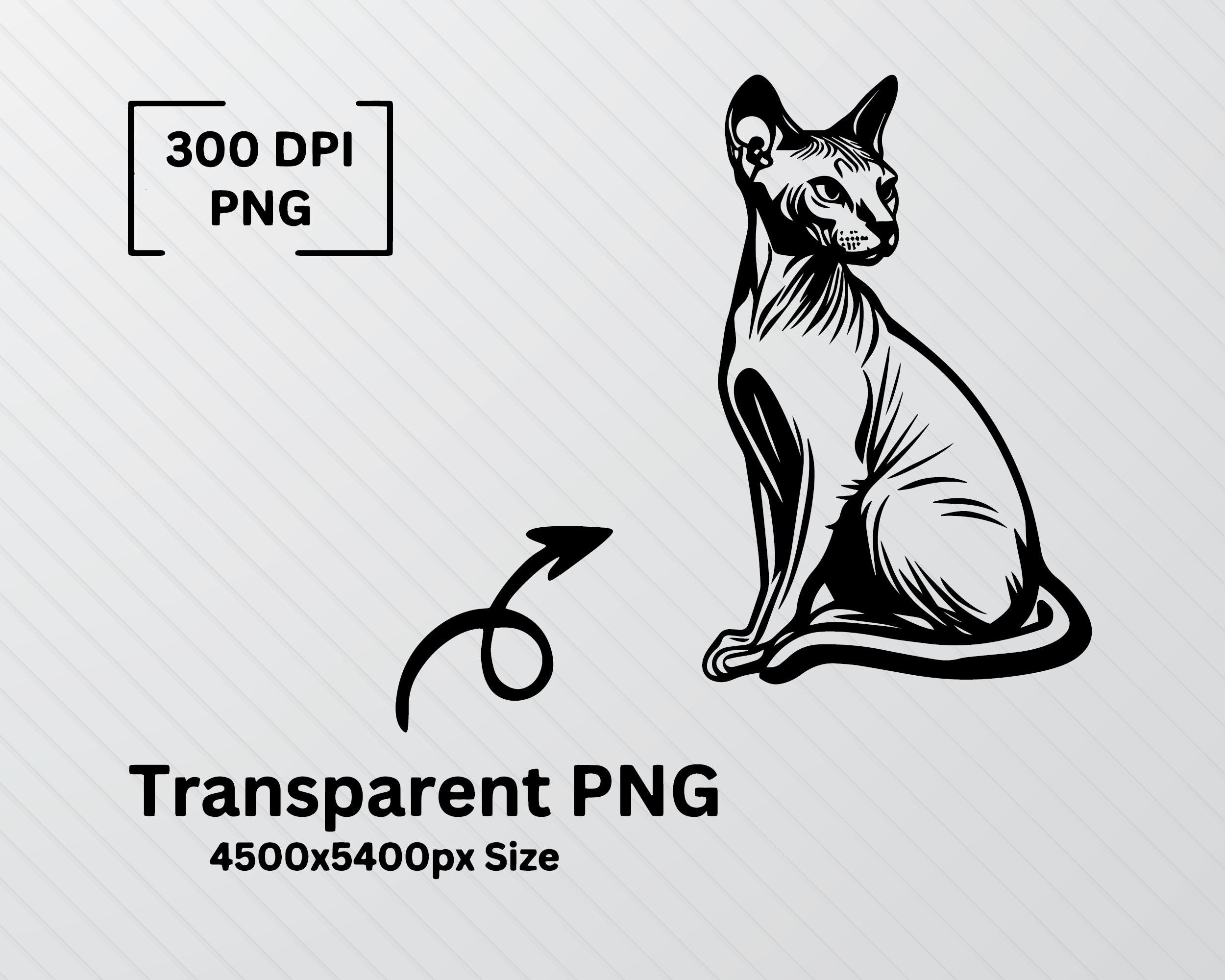 Sphynx Cat Svg Bundle, Sphynx Cat Silhouette, Cat Breed Svg Png Vector ...