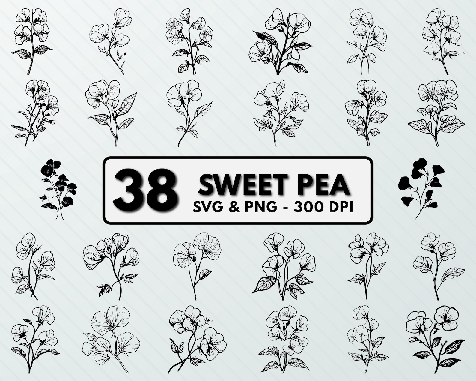 Sweet Pea Flower Svg Png, Sweet Pea Clipart, Floral Silhouette, Sweet ...