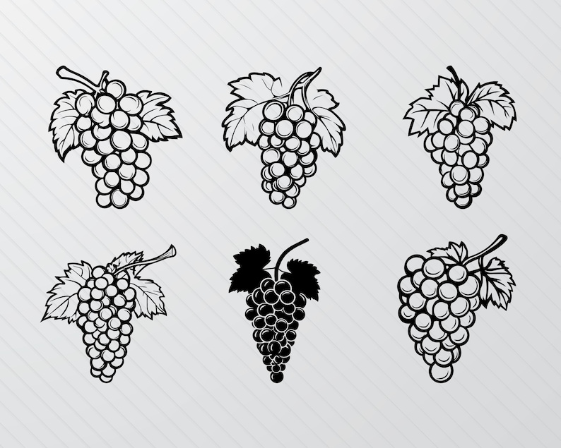 Grape Silhouette Svg, Grape Svg Bundle Cut File Cricut, Grape Outline Png, Grape Bunch Svg ...