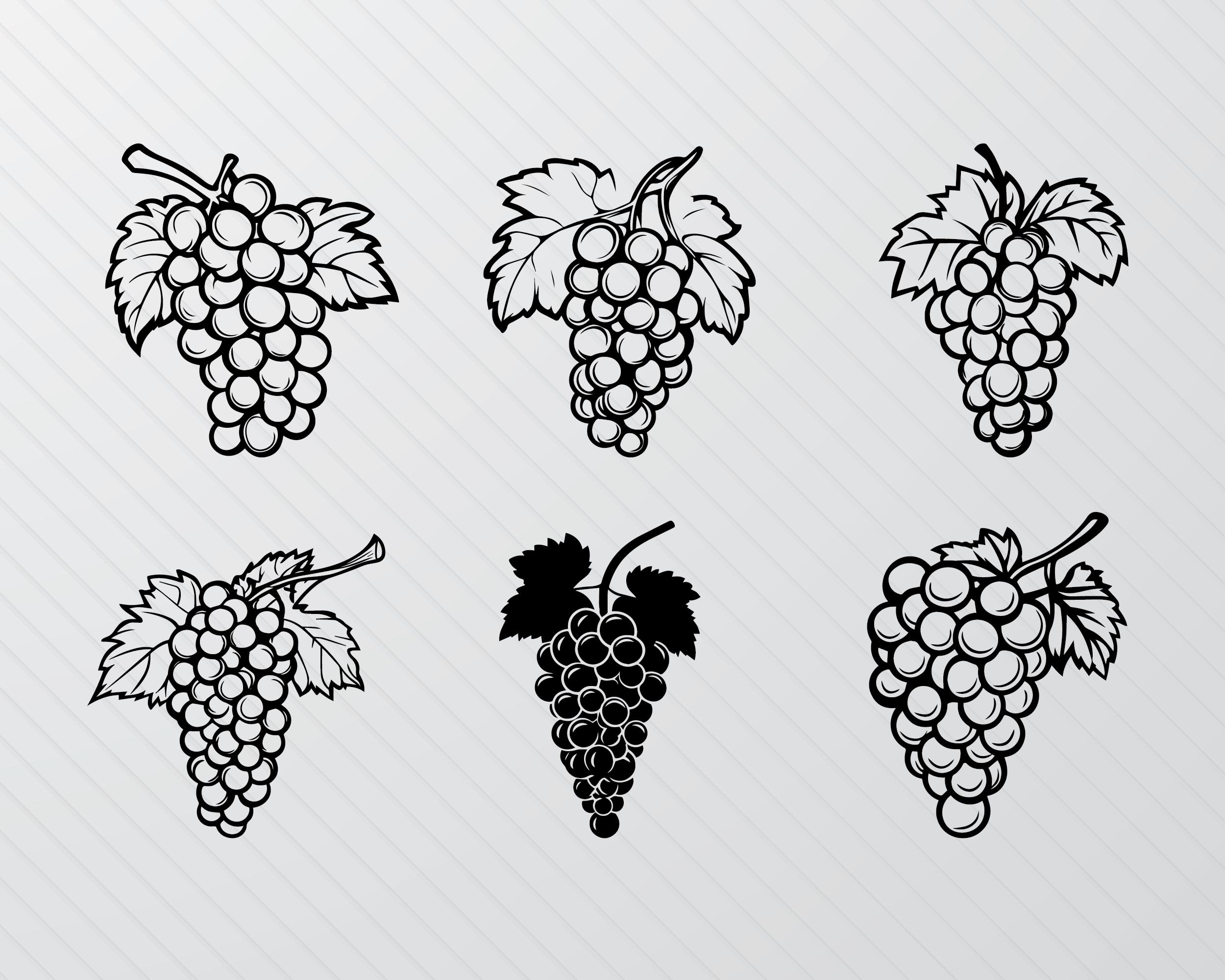 Grape Silhouette Svg, Grape Svg Bundle Cut File Cricut, Grape Outline ...