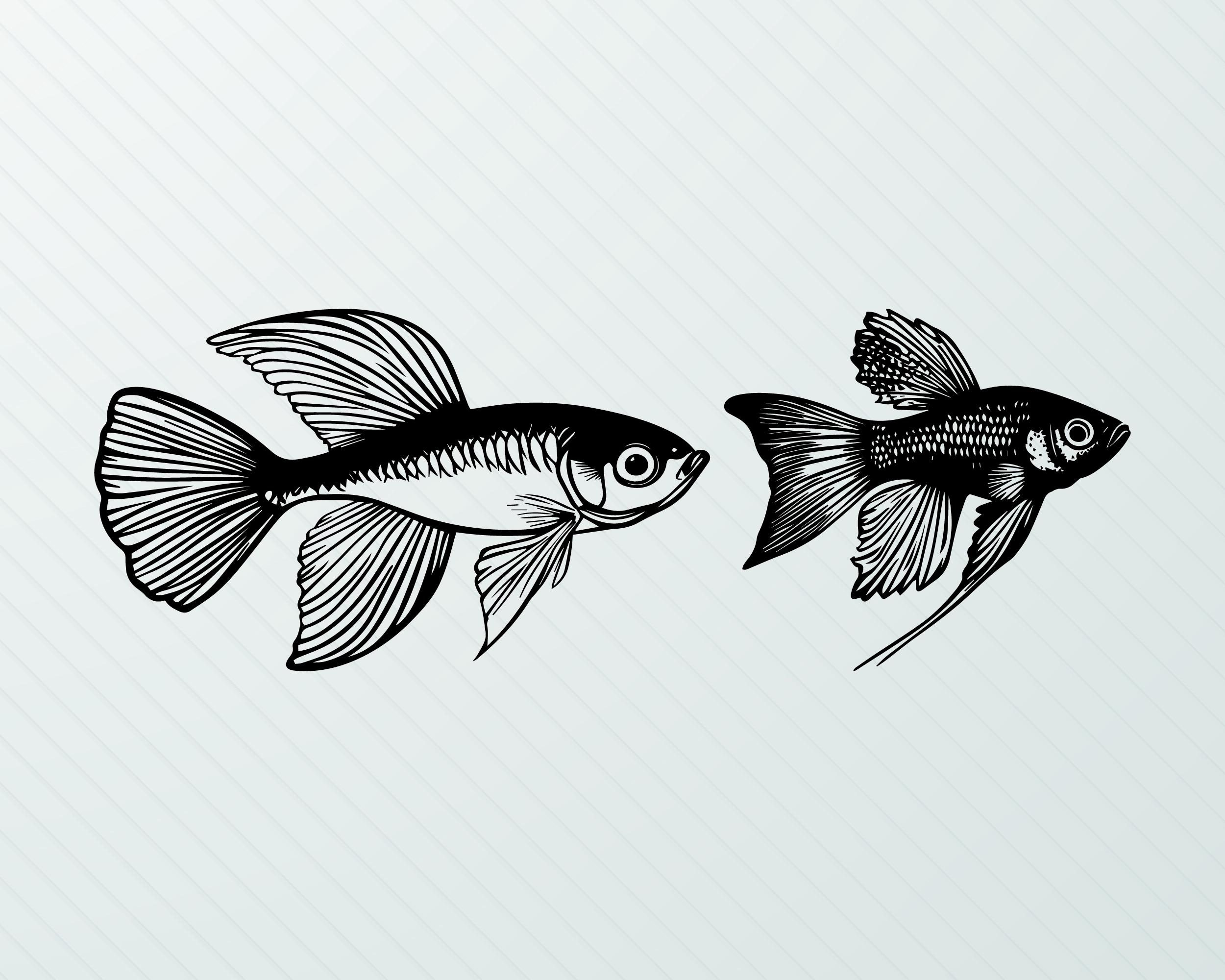 Guppy Fish Svg Png Bundle, Guppy Fish Silhouette, Guppy Fish Clipart ...