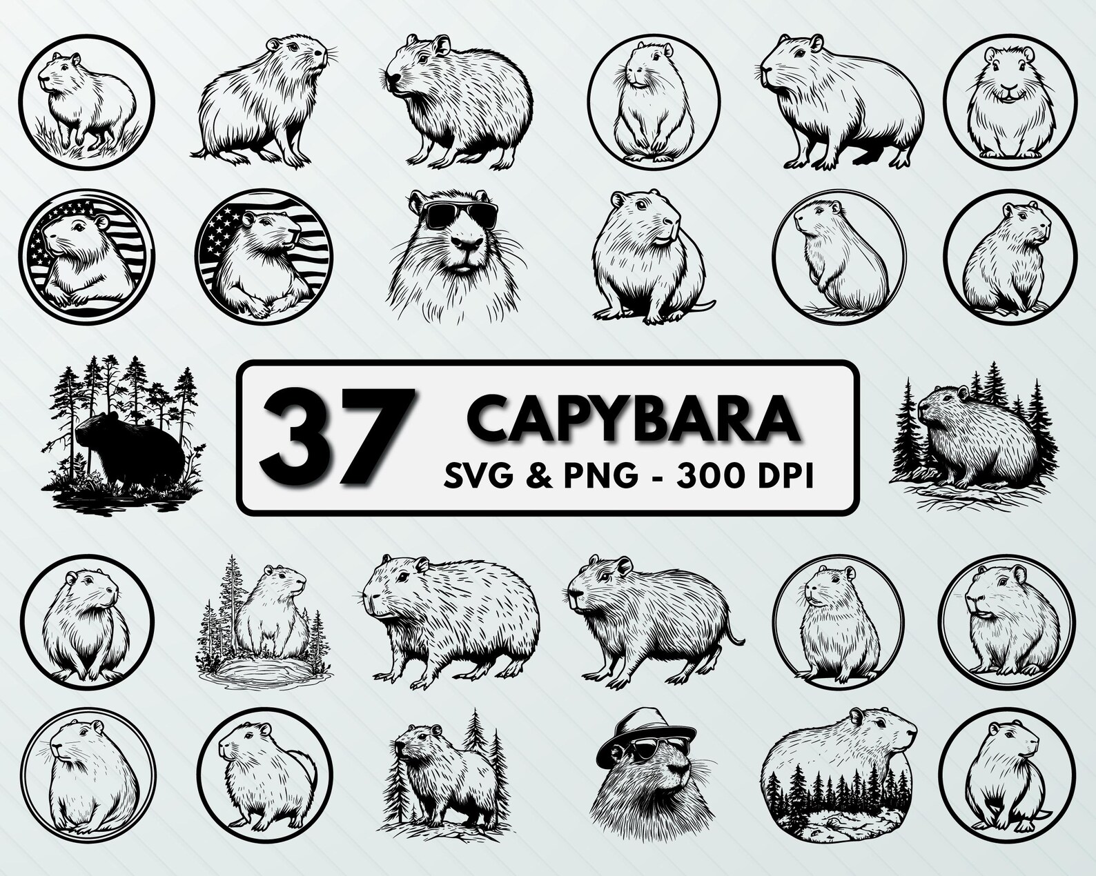 Capybara Svg Png Bundle, Capybara Clipart, Capybara Silhouette ...