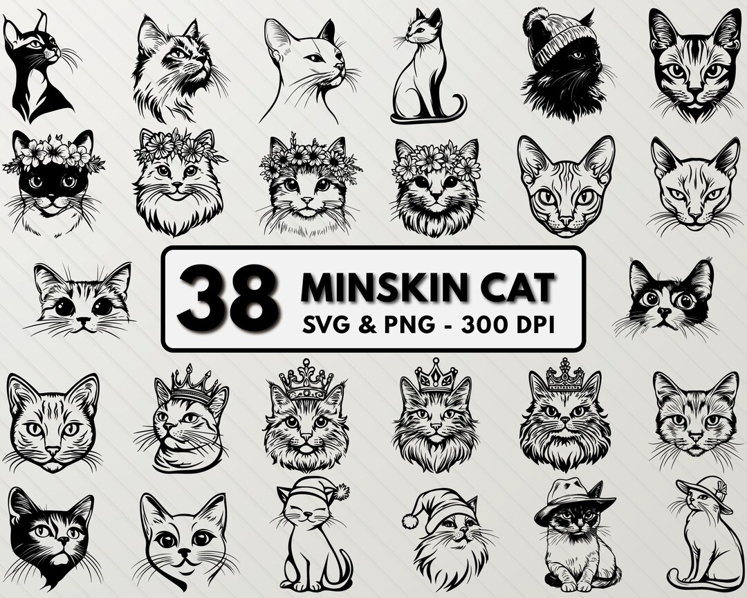 Minskin Cat Svg Bundle, Minskin Cat Silhouette Png, Cat Breeds Svg ...