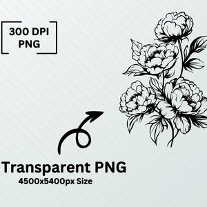 Peony Flowers Svg, Peony Png, Floral Clipart, Peony Birth Month ...