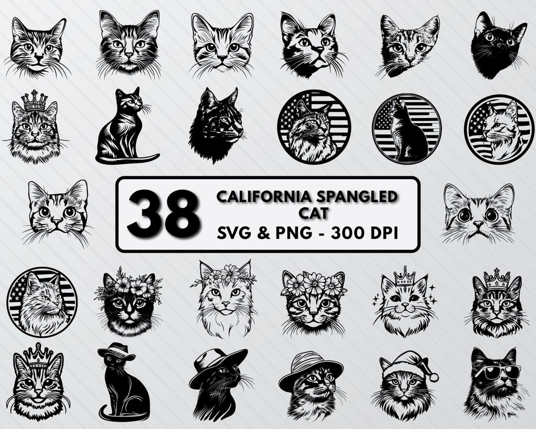 California Spangled Cat SVG Bundle: Vector Clipart, Decals (PNG) - Etsy