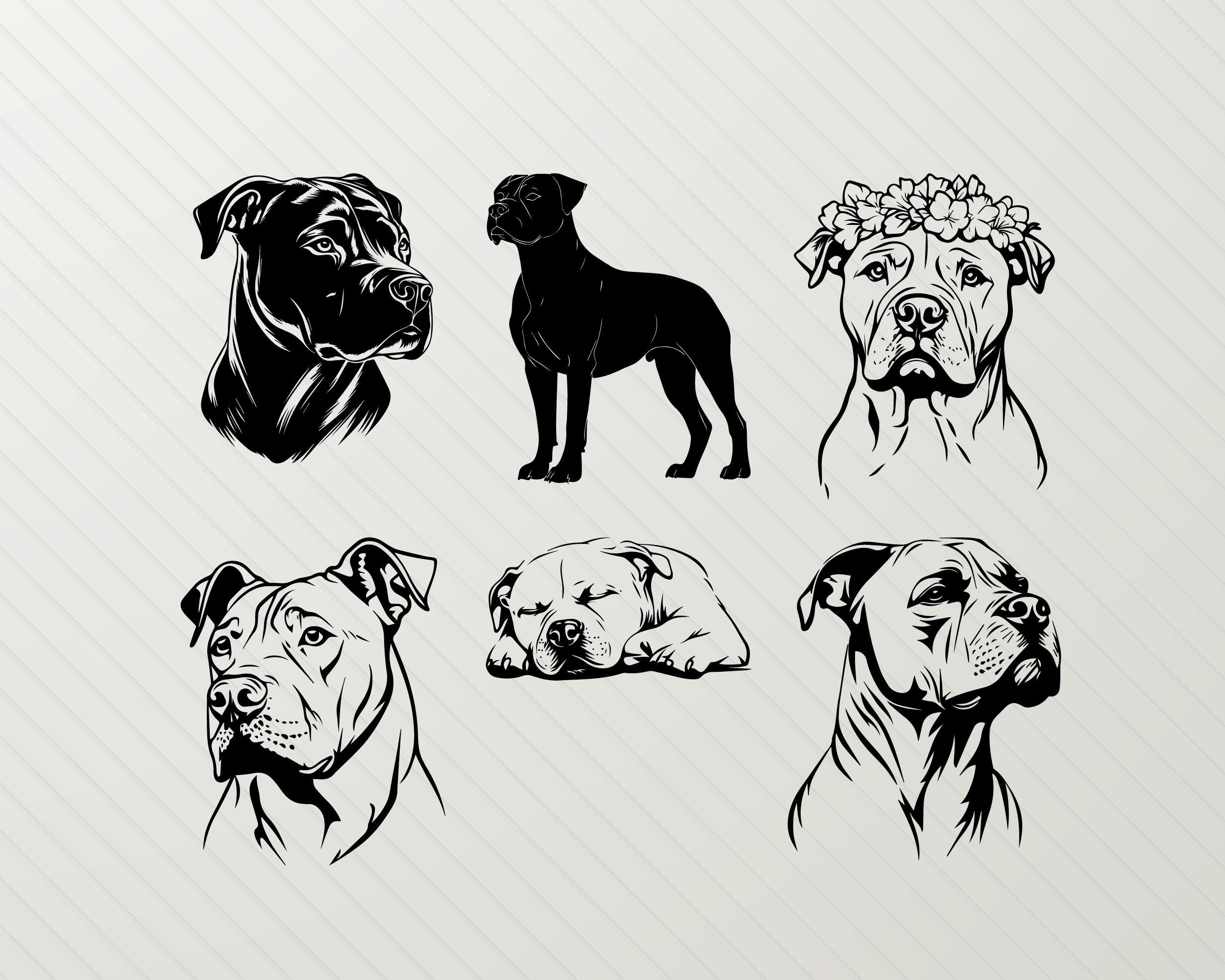 Dogo Argentino SVG Bundle: Dog Breed Clipart, Decal Outline (PNG ...