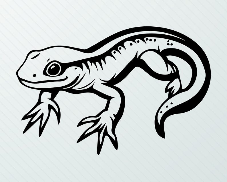 Salamander & Axolotl SVG PNG Clipart: Minimalist Line Art (digital ...
