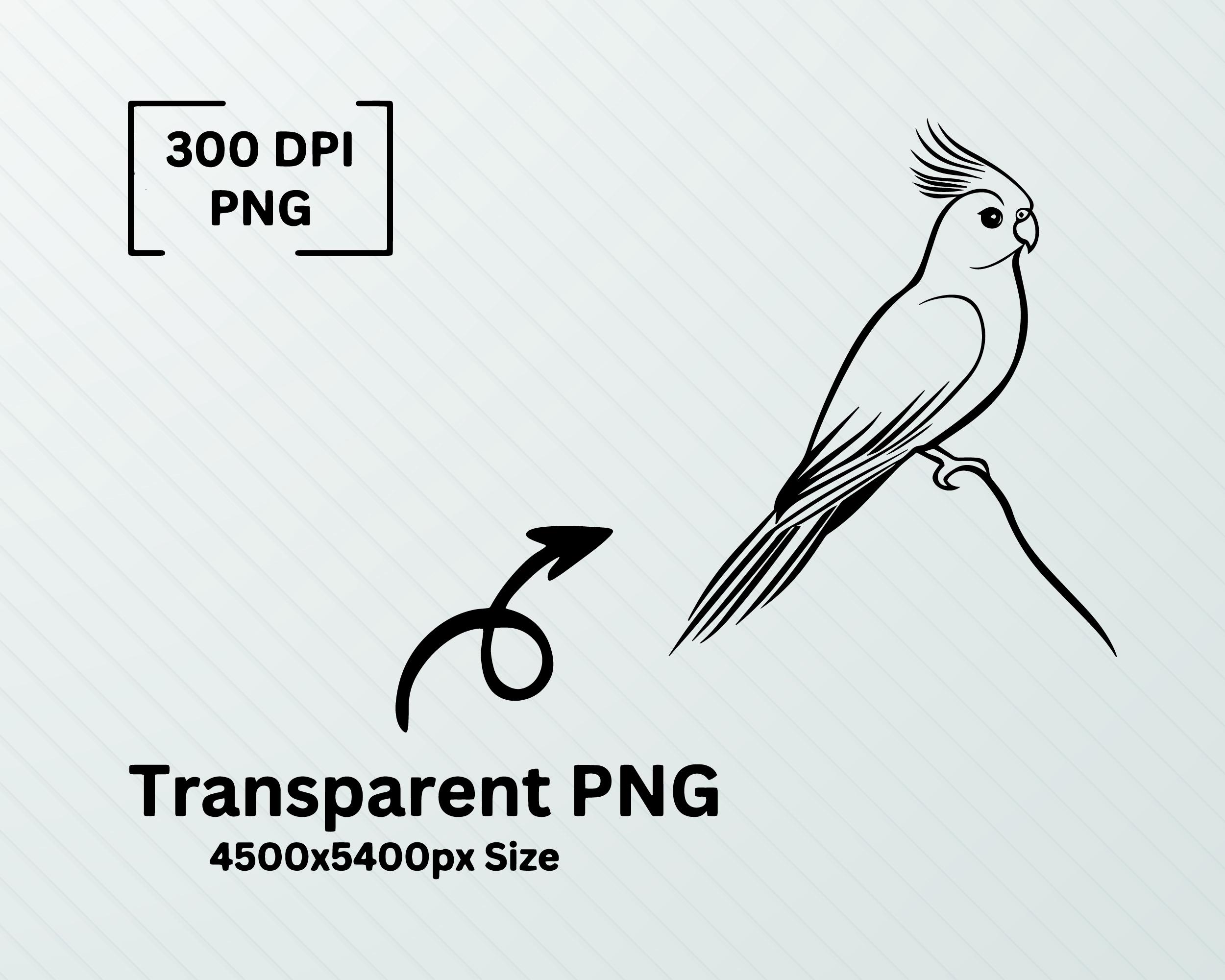 Cockatiel Svg Png, Cockatiel Clipart, Cockatiel Silhouette, Vector ...