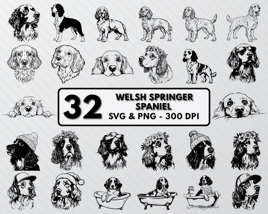 Welsh Springer Spaniel Dog Svg Bundle, Welsh Springer Spaniel ...