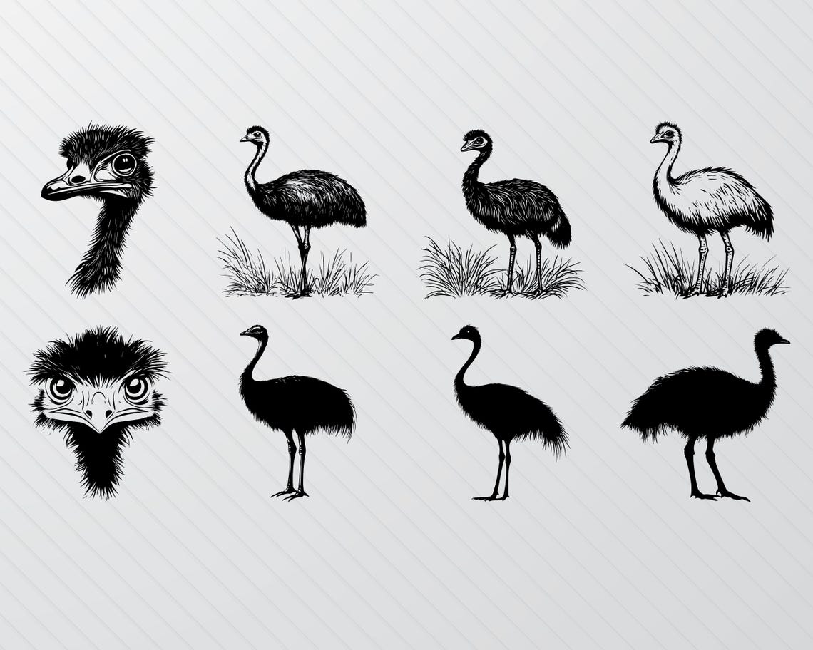 Emu Svg Cut Files, Australian Emu Silhouette Png, Emu Vector Art, Emu ...
